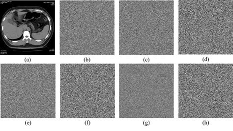 Figure 8 From An Efficient Cryptosystem For Medical Image Encryption Semantic Scholar