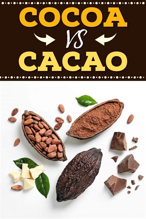 Cocoa Vs Cacao Whats The Difference Insanely Good