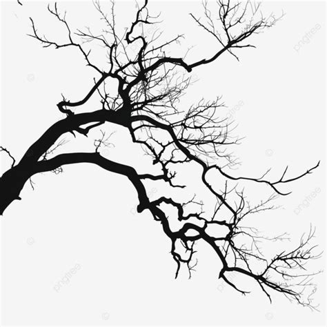 Tree Branch Silhouette Silhouette Illustration Eco PNG Transparent
