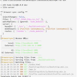 Console After Running The Command Download Scientific Diagram