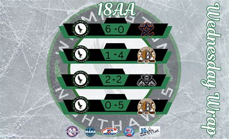 Wilmington Nighthawks Youth Hockey