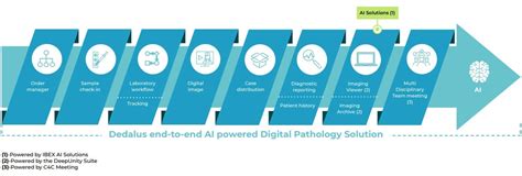 End To End Ai Powered Digital Pathology Solution Dedalus Global