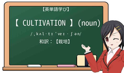 【英単語】cultivationを徹底解説！意味、使い方、例文、読み方 おもしろい英文法