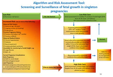 Gap Audit Tool Perinatal Institute