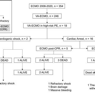 Study Flow Chart The Insert On The Top Left Indicates The Different