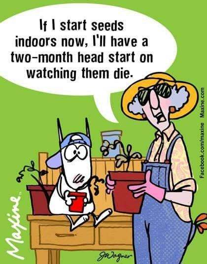 511 Best Yard Work Images On Pinterest Comic Comic Books And Comics