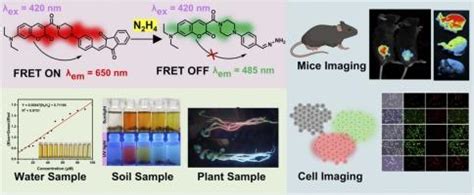 Naked Eye And Fluorescence Resonance Energy Transfer Based Ratiometric