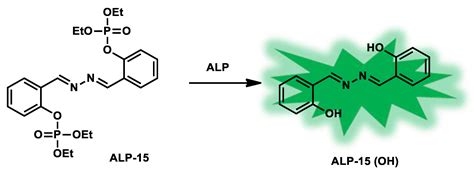 Fluorescent Probes In Cellulo Recognitions Of Alkaline Phosphatases Encyclopedia Mdpi