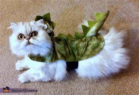 Iguana Cat Costume Diy Costumes Under 35