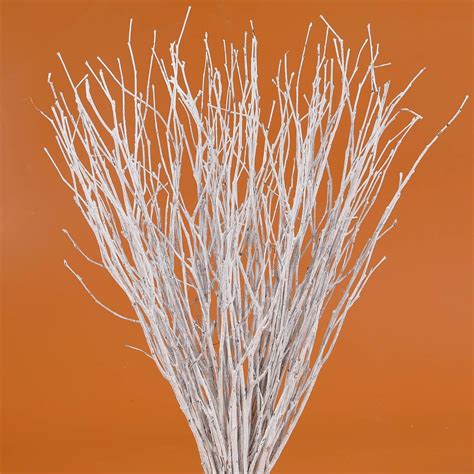40pcs Real Dried Birch Twigs 17 Natural Decorative Birch