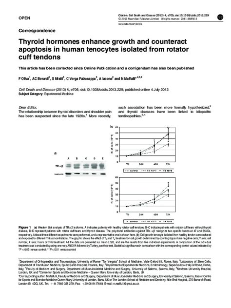 Pdf Thyroid Hormones Enhance Growth And Counteract Apoptosis In Human