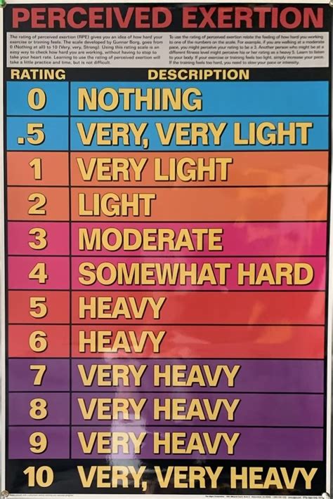 Rpe Simplified The Lifetime Athlete