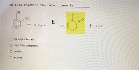 Solved In This Reaction The Catecholase Is H20 112 02