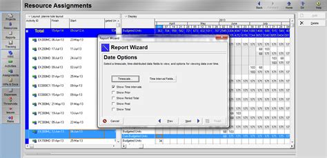One Trick To Export P6 Resource Assignment Data To Excel