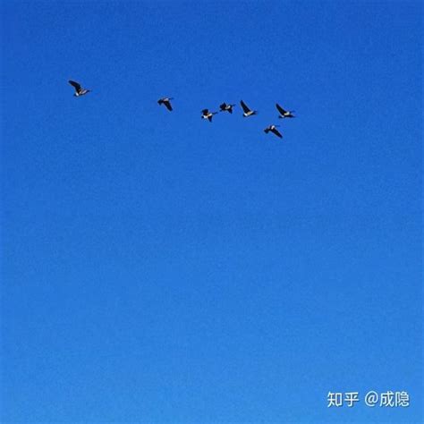 图像处理编程中的mask python图像处理实现两幅图像合成一幅图像的方法 csdn博客