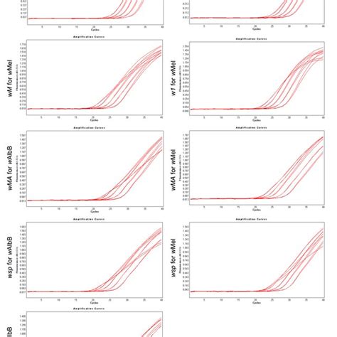 Primer Efficiency For Primers Used In Detection Of Wolbachia Strains
