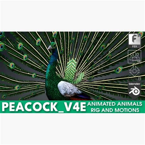 Peacock 3d Models Download