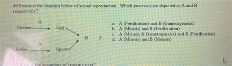 Solved Examine The Diagram Below Of Sexual Reproduction Chegg Com
