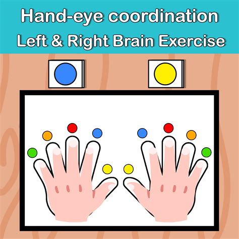 Hand Eye Coordination Left And Right Brain Exercise Special Education