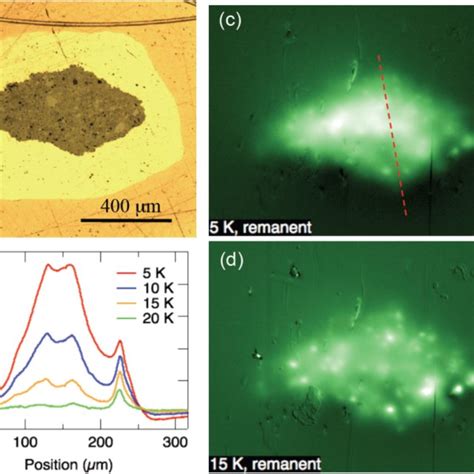 Qing Ping Ding Scientist Phd Dmse Research Profile