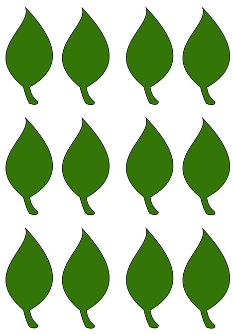 листья цветов цветные шаблоны для аппликаций