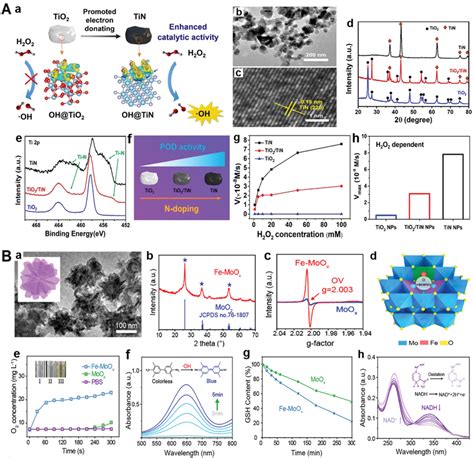 A A Influence Of N Doping On Pod‐like Activity Of Tio2 Nps B Tem