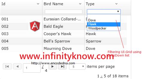 Angularjs Grid Crud Example Angular Ui Grid