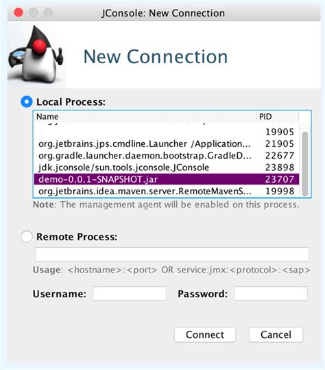 Spring Boot Remote Jmx Gilad Peleg