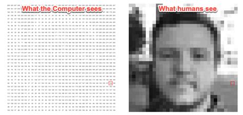 Increasing The Amount And Diversity Of Data Using Scikit Image In