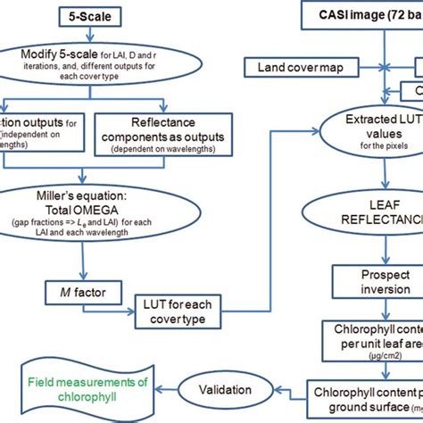 Steps Involved In Determining Leaf Chlorophyll Content Using An Download Scientific Diagram