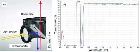 Filtering System Of A Conventional Fluorescence Microscope A