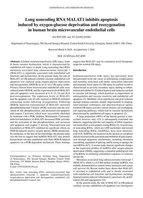 Pdf Long Noncoding Rna Malat1 Inhibits Apoptosis Induced By Oxygen Glucose Deprivation And