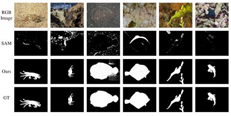 Sam Fails To Segment Anything Sam Adapter Adapting Sam In Underperformed Scenes
