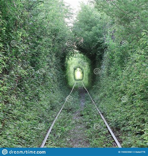 The Tunnel Of Love Wonders Of Nature A Natural Arch Formed By Intertwined Trees Above A