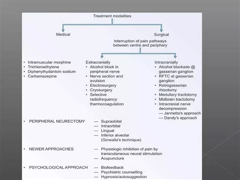 Trigeminal Nerve Max And Opthalmic Div Ppt