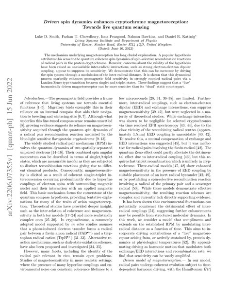 Pdf Driven Spin Dynamics Enhances Cryptochrome Magnetoreception Towards Live Quantum Sensing