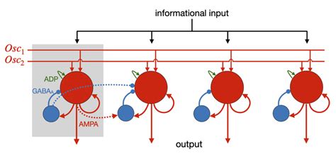 Modular Working Memory Network The Modules Are Arranged Linearly Each Download Scientific