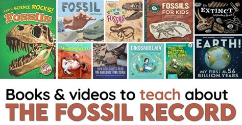 5 Fun Books Videos On Fossil Evidence For Third Grade Around The Kampfire