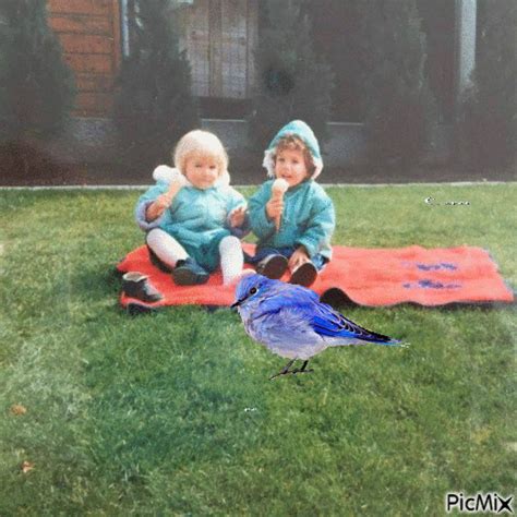 Lekker Ijsje Free Animated  Picmix