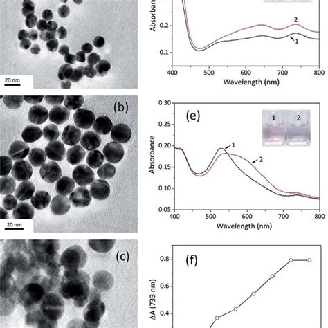 Effect Of Aunps On Str Detection A Tem Photo Of Cc Aunps With A