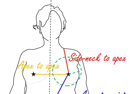 1 Determining Your Bust Apex Silk Ribbon Embroidery Patterns Pattern Drafting Sewing