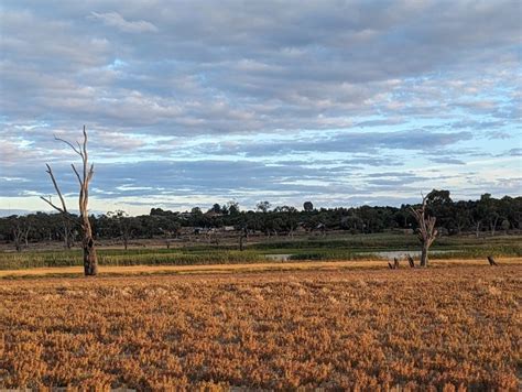 Michaela Barton Maicd On Linkedin Landscapeboard Biosecurity Biodiversity Riverland Wine…