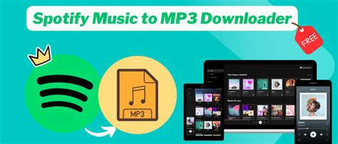 Spotify Dj Not Showing Up Fix It With 8 Methods Audicable