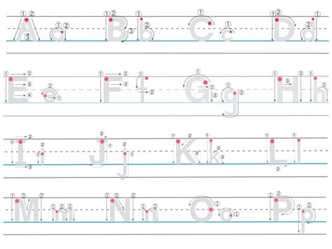 340개의 Phonics 아이디어 파닉스 파닉스 활동 영어