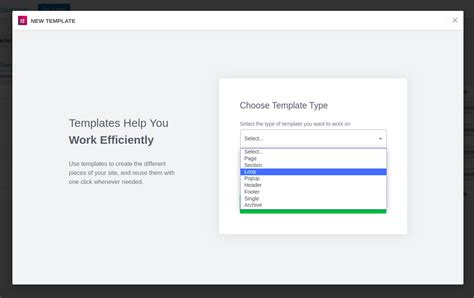 Display Custom Fields In Elementor Archive Apollin Arek Panek