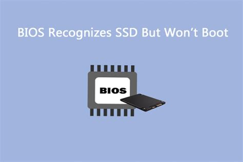 Bios Recognizes Ssd But Wont Boot Fix It Now