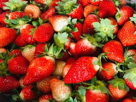 Slowbaker1 휴무날 휴무인듯 휴무아닌 군산빵집군산제과군산케익군산맛집느림보제빵소