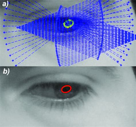 Results Of The Pupil Tracking And Ellipse Fitting Algorithm A In Blue Download Scientific