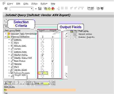 Adhoc Query In Sap