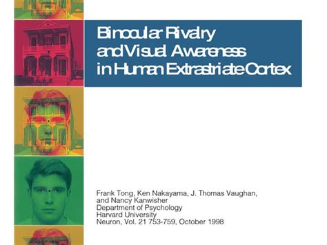Binocular Rivalry And Visual Awareness In Human Extrastriate Cortex Ppt